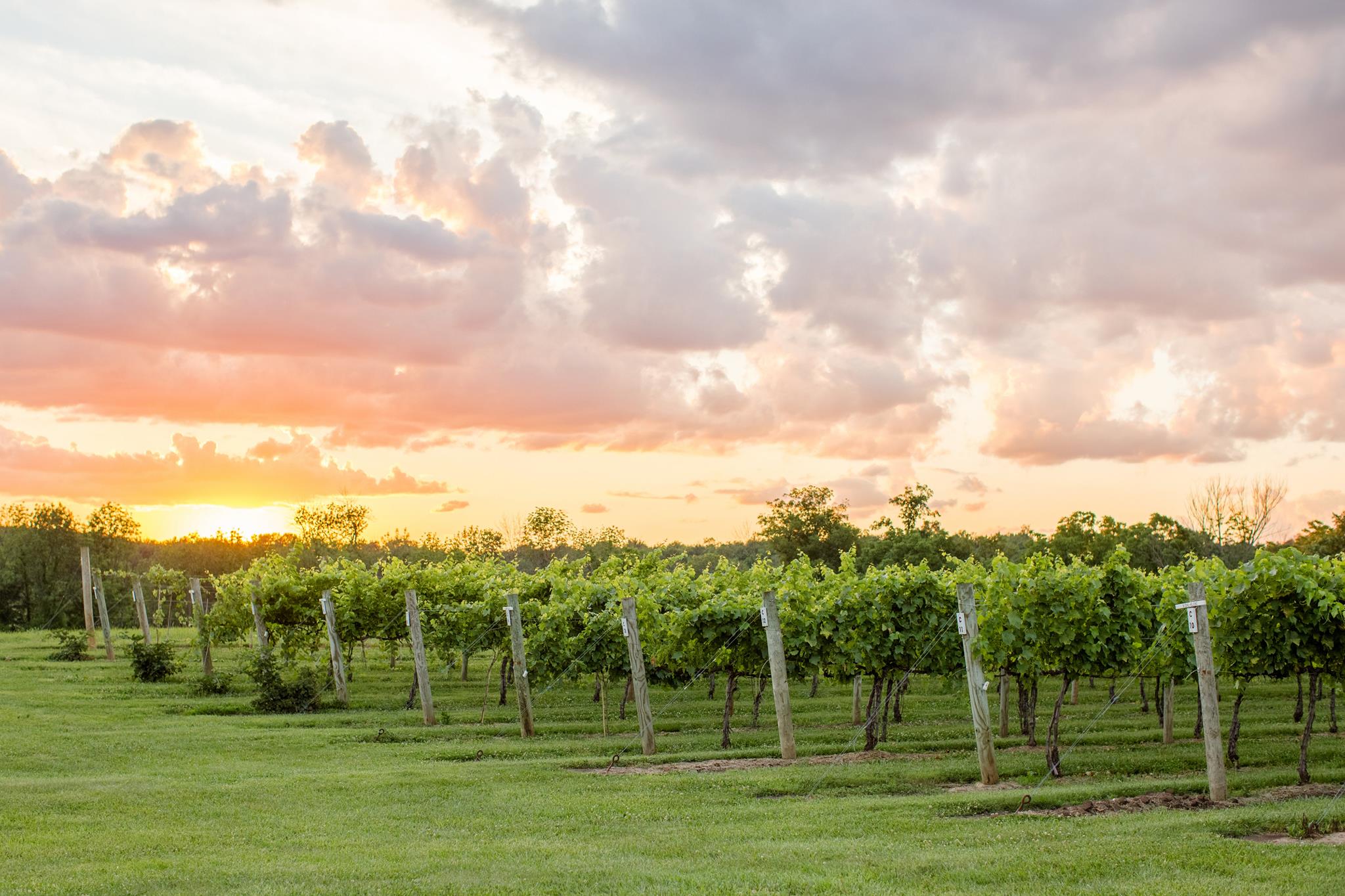 15 Best Wineries & Vineyards in Ohio – Holidays