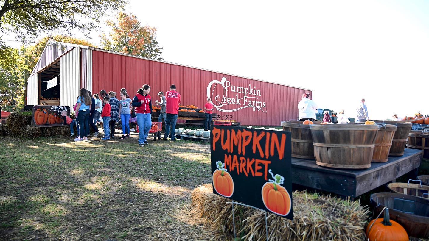 17 Best Pumpkin Patches in Illinois – Holidays